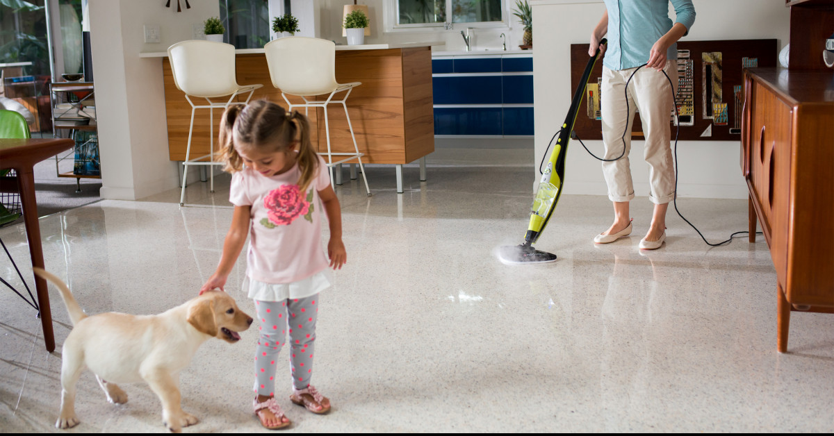 Cleaning Up Safely After Messy Pets | Thane Press Room