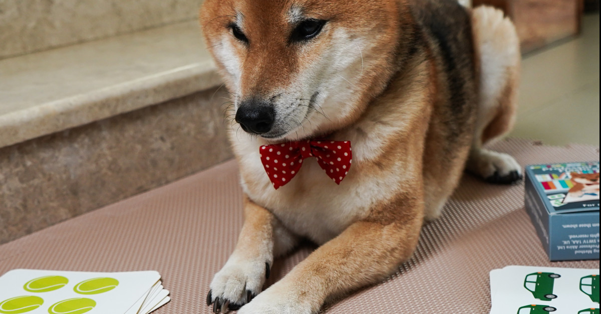 Professor Akira Method offers a deeper connection for DINKWADS and ...